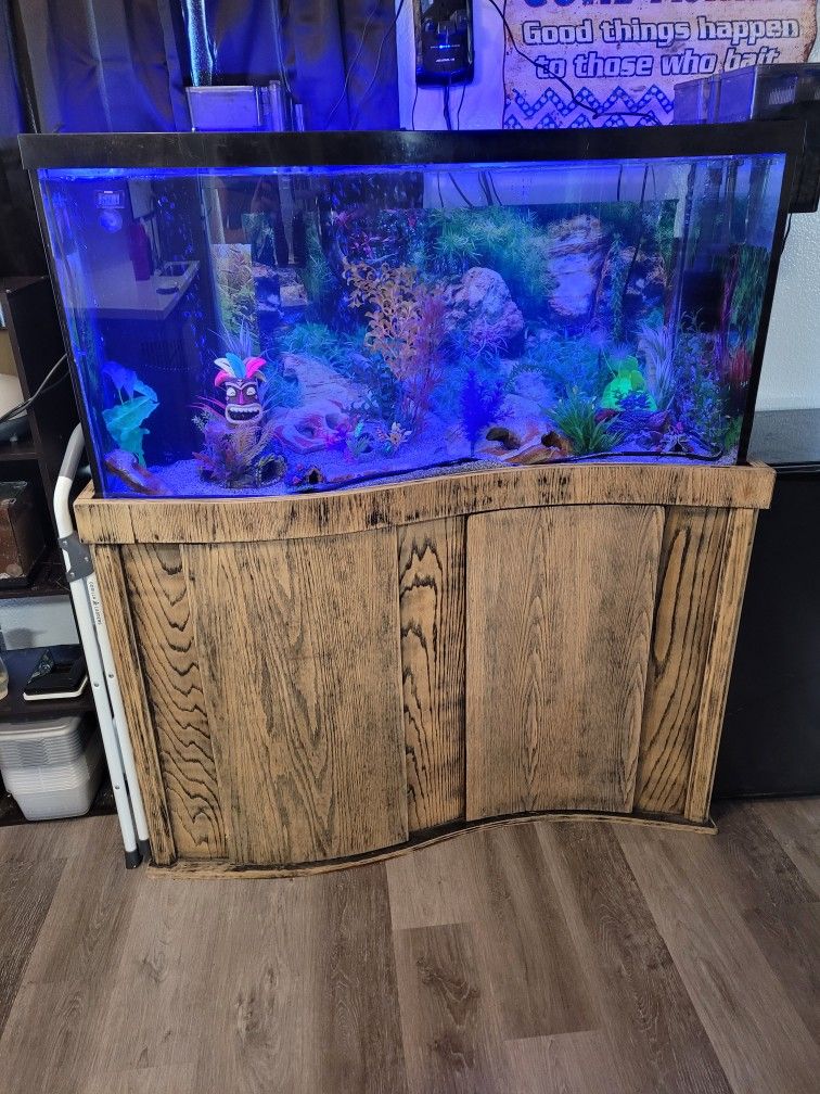 95 Gallon Wave Fish Tank for Sale in Everett, WA - OfferUp