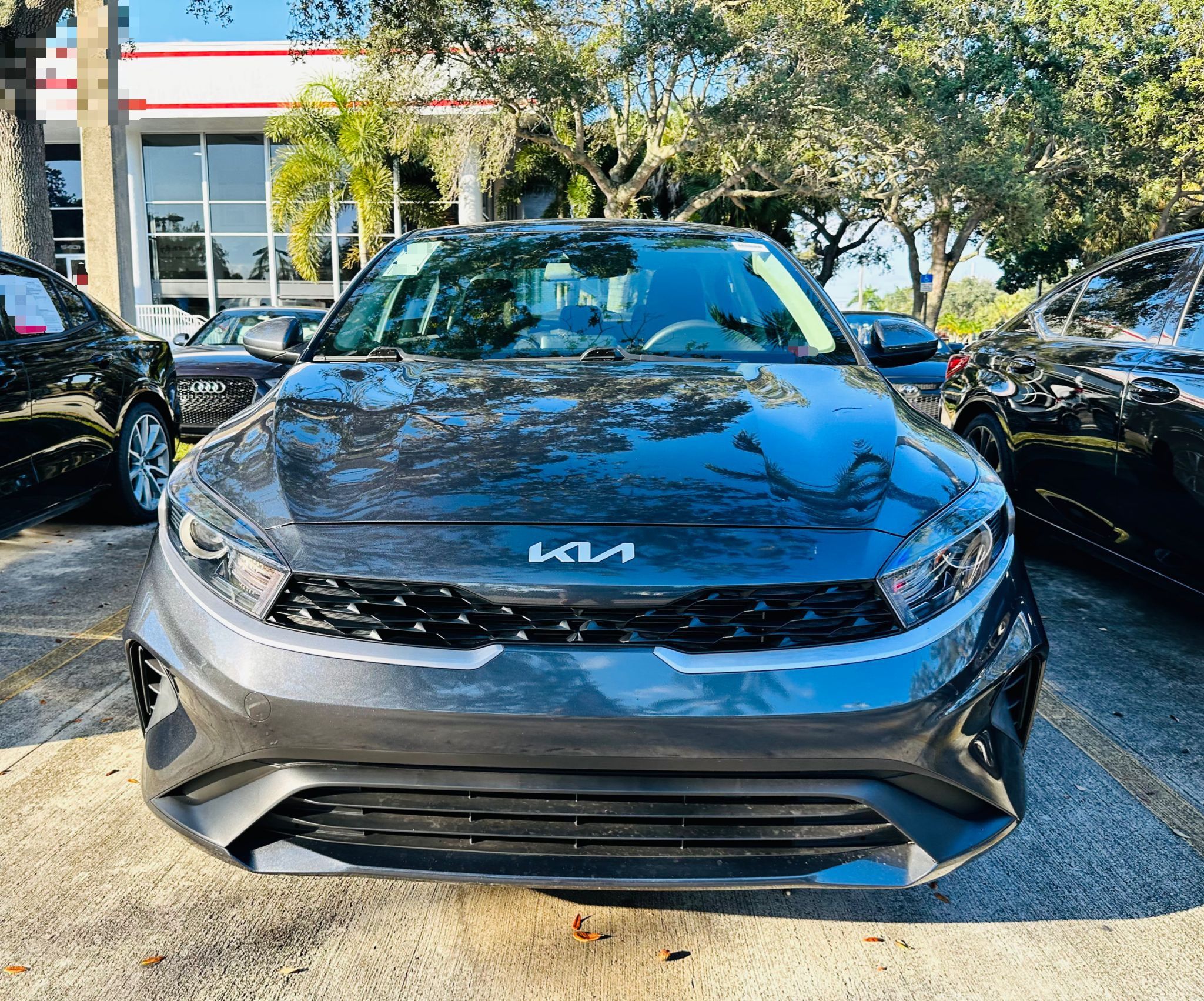Interesting Kia In Naples Fl Photos