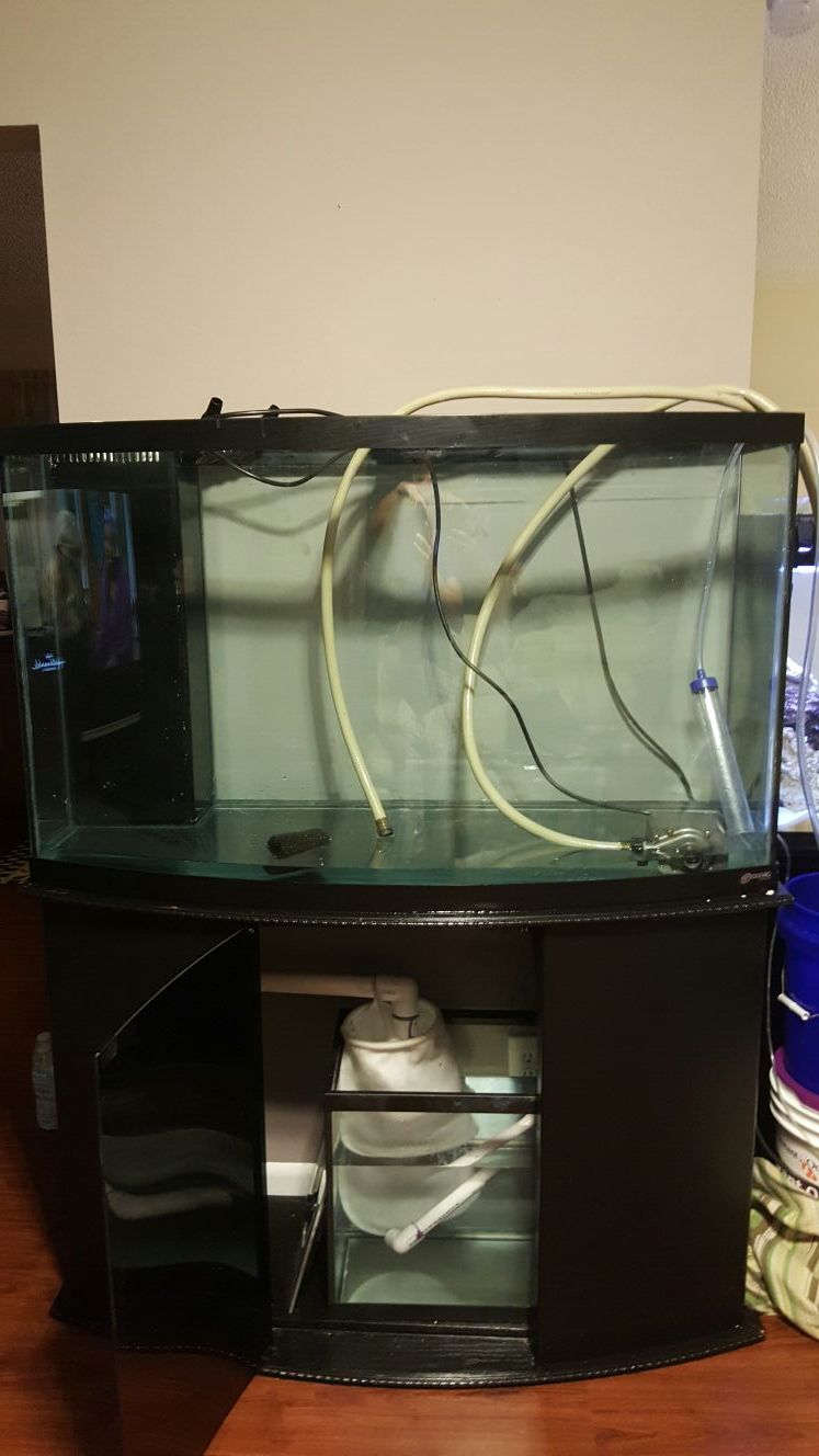 90 gallon oceanic bow front aquarium with sump, stand, and light. for ...