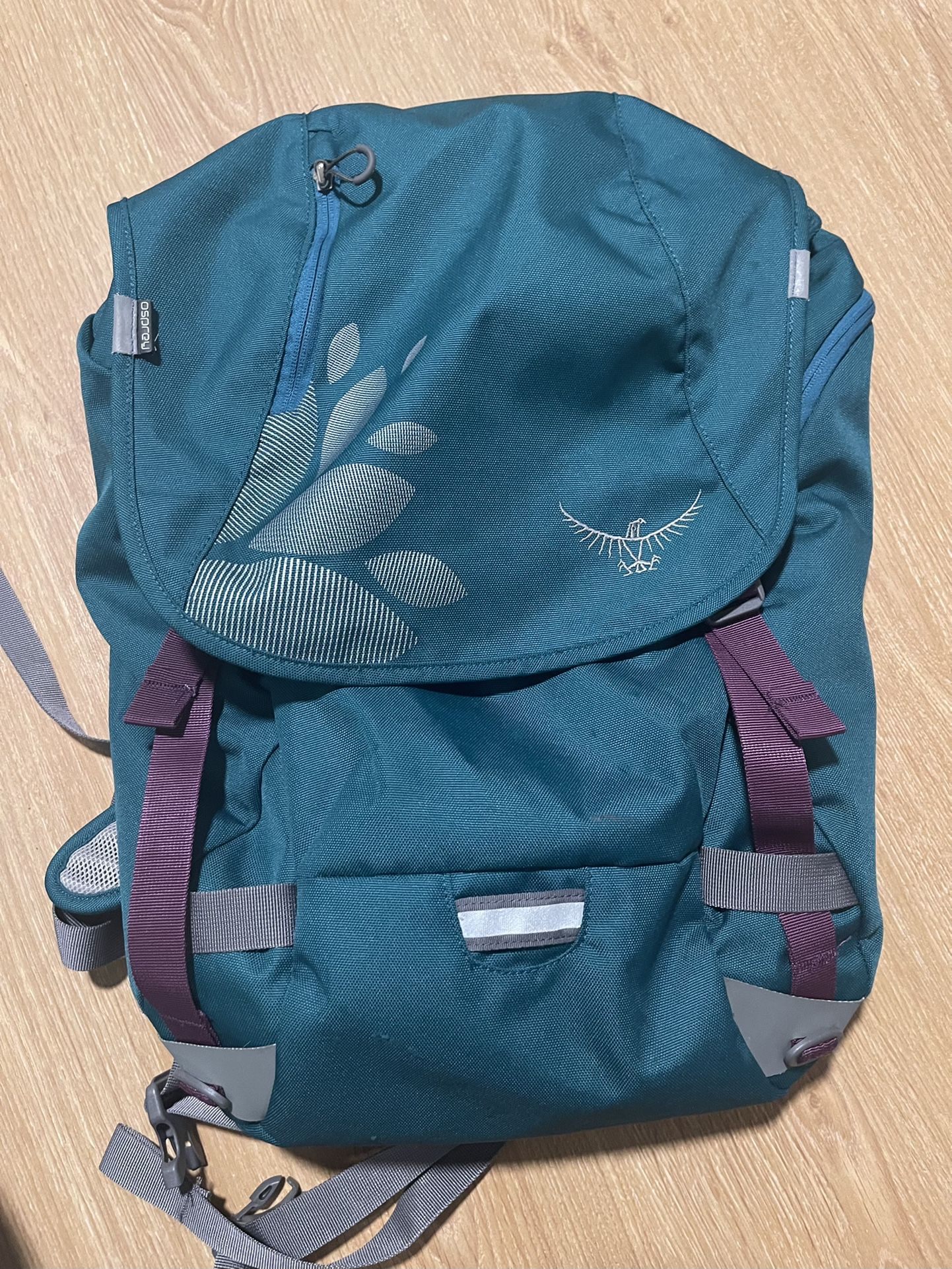 Osprey Flap Jill Pack (L) for Sale in Federal Way, WA - OfferUp