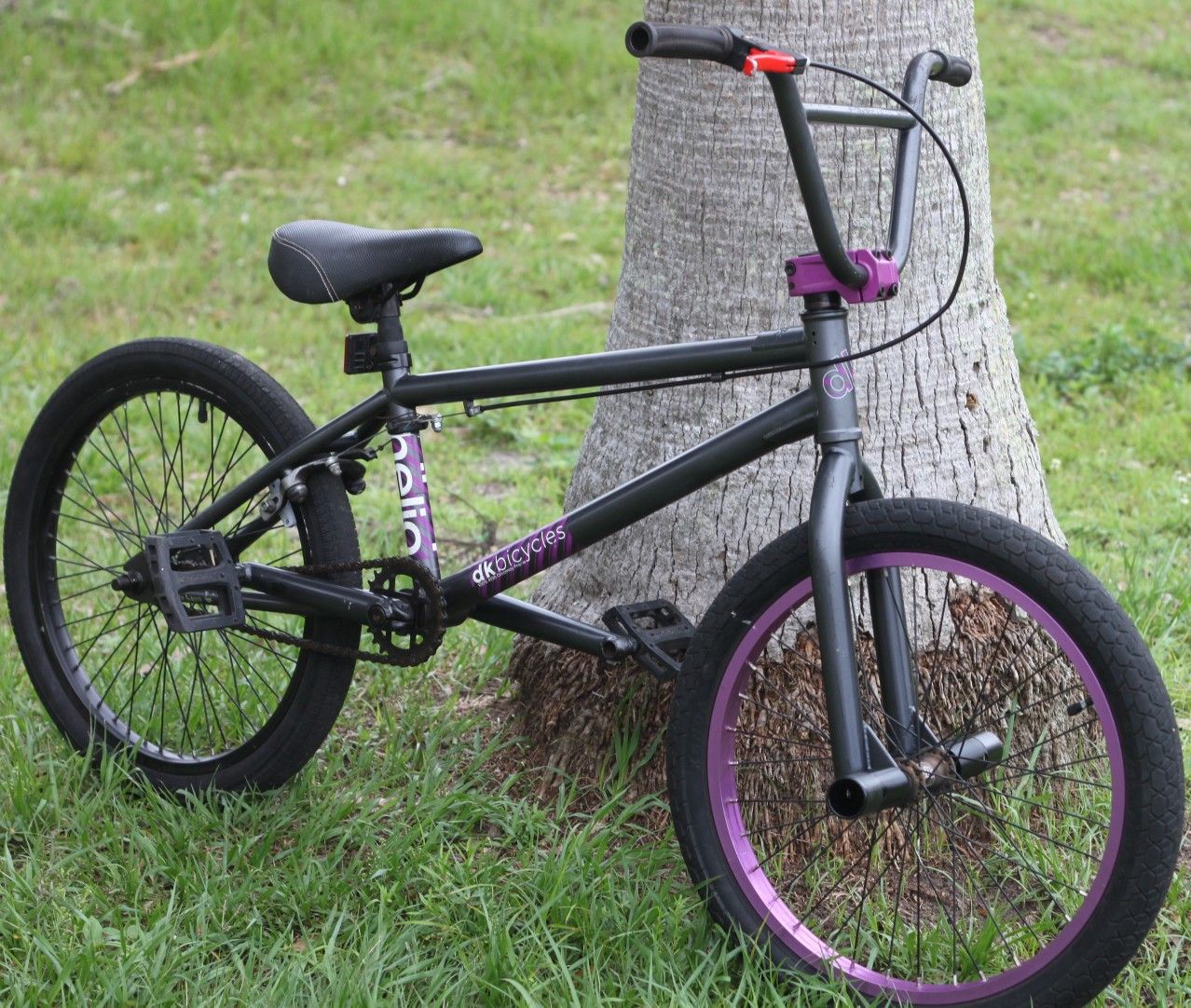 Pro Bmx Bikes Purple
