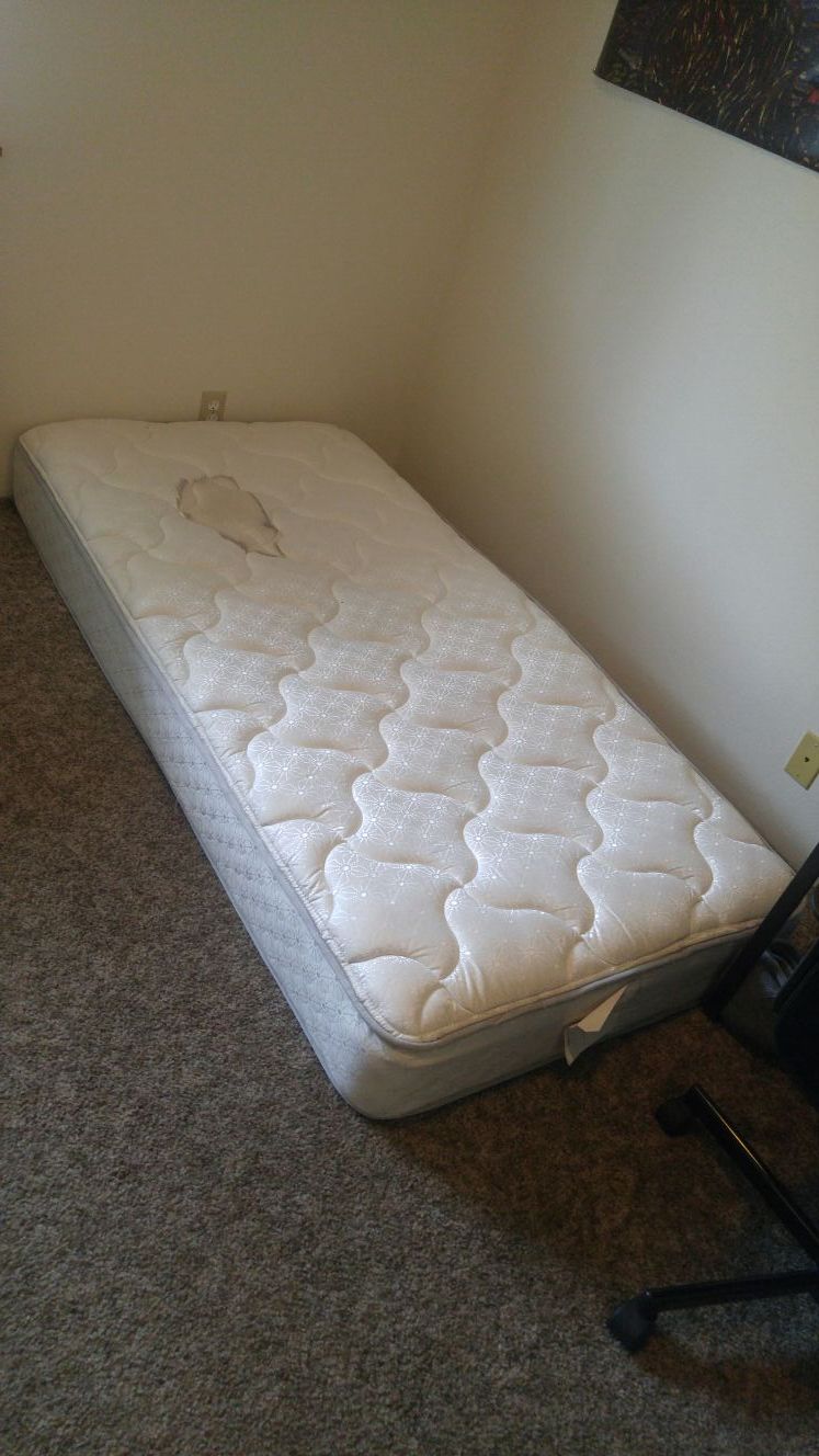 Sealy backsaver twin mattress store
