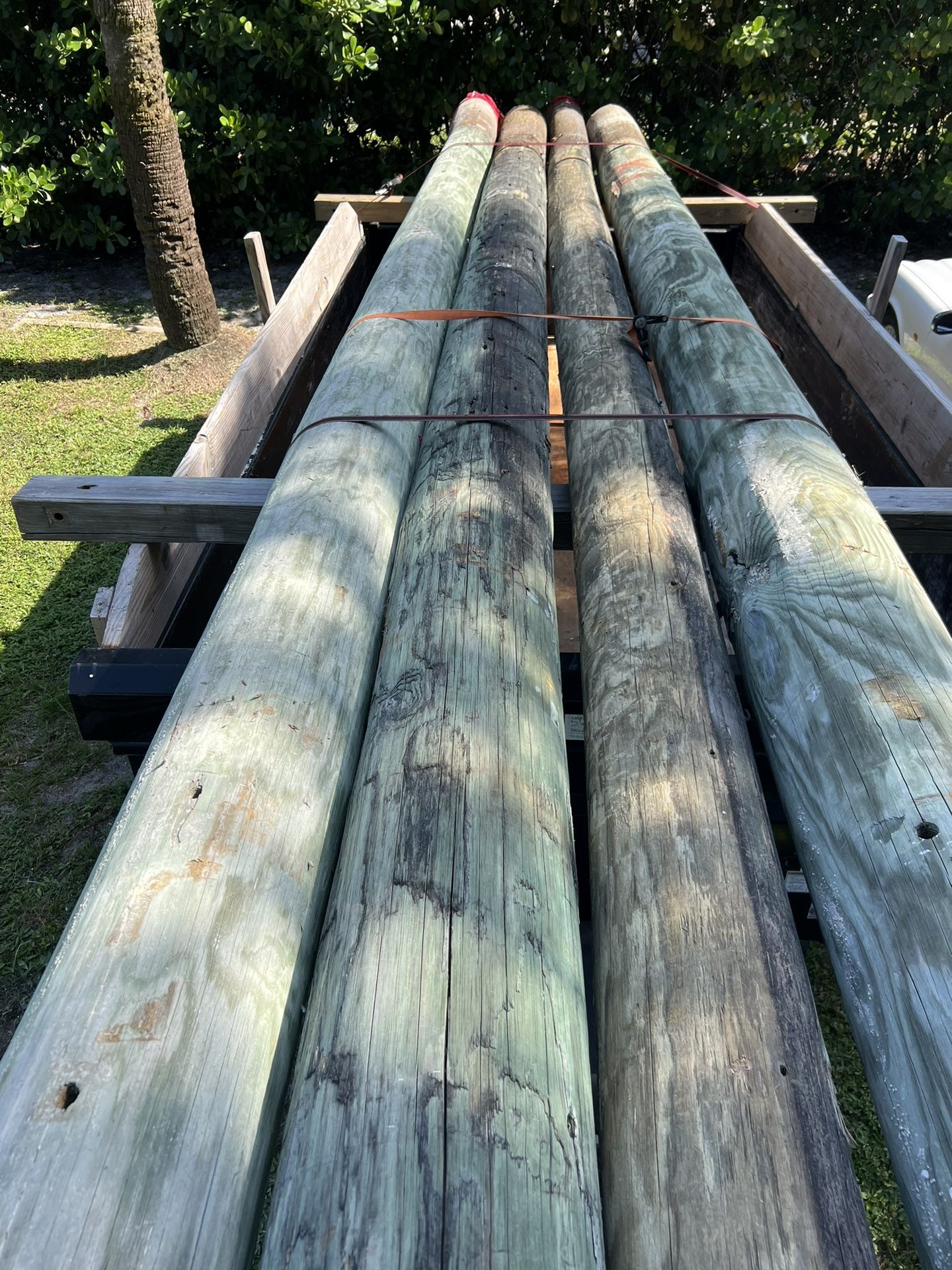 Marine grade pressure treated pilings/ telephone poles for Sale in Fort ...
