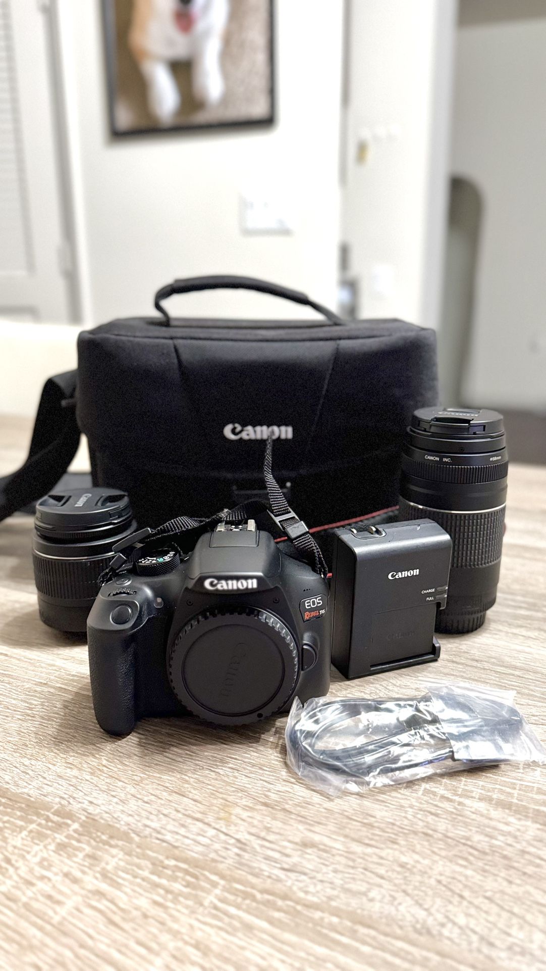 Canon EOS T6 Package for Sale in Santa Rosa Va, CA - OfferUp
