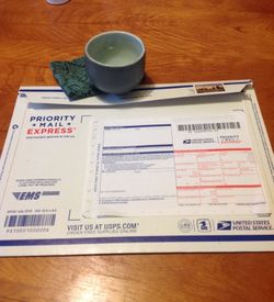Express Mail Envelope