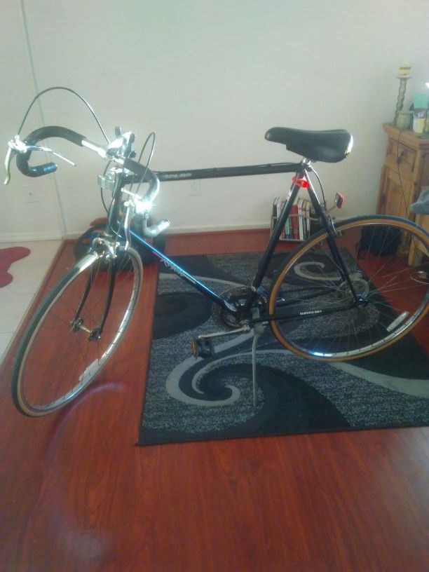 (1983) Cycle Pro - Regent 10 Speed 27" Tall Road Bike for Sale in ...