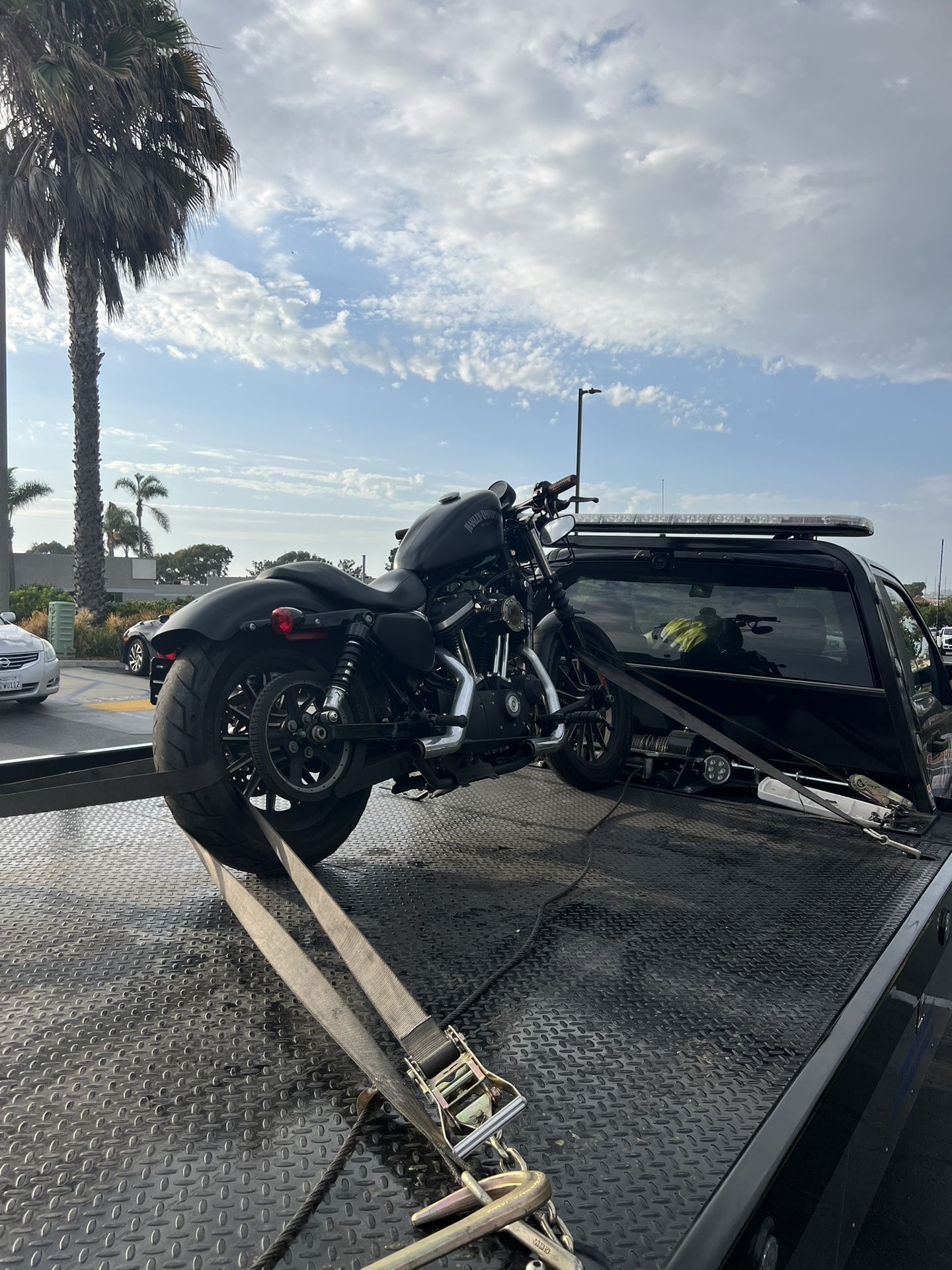 2015 Harley Davidson Sportster Iron 883 for Sale in San Diego, CA - OfferUp