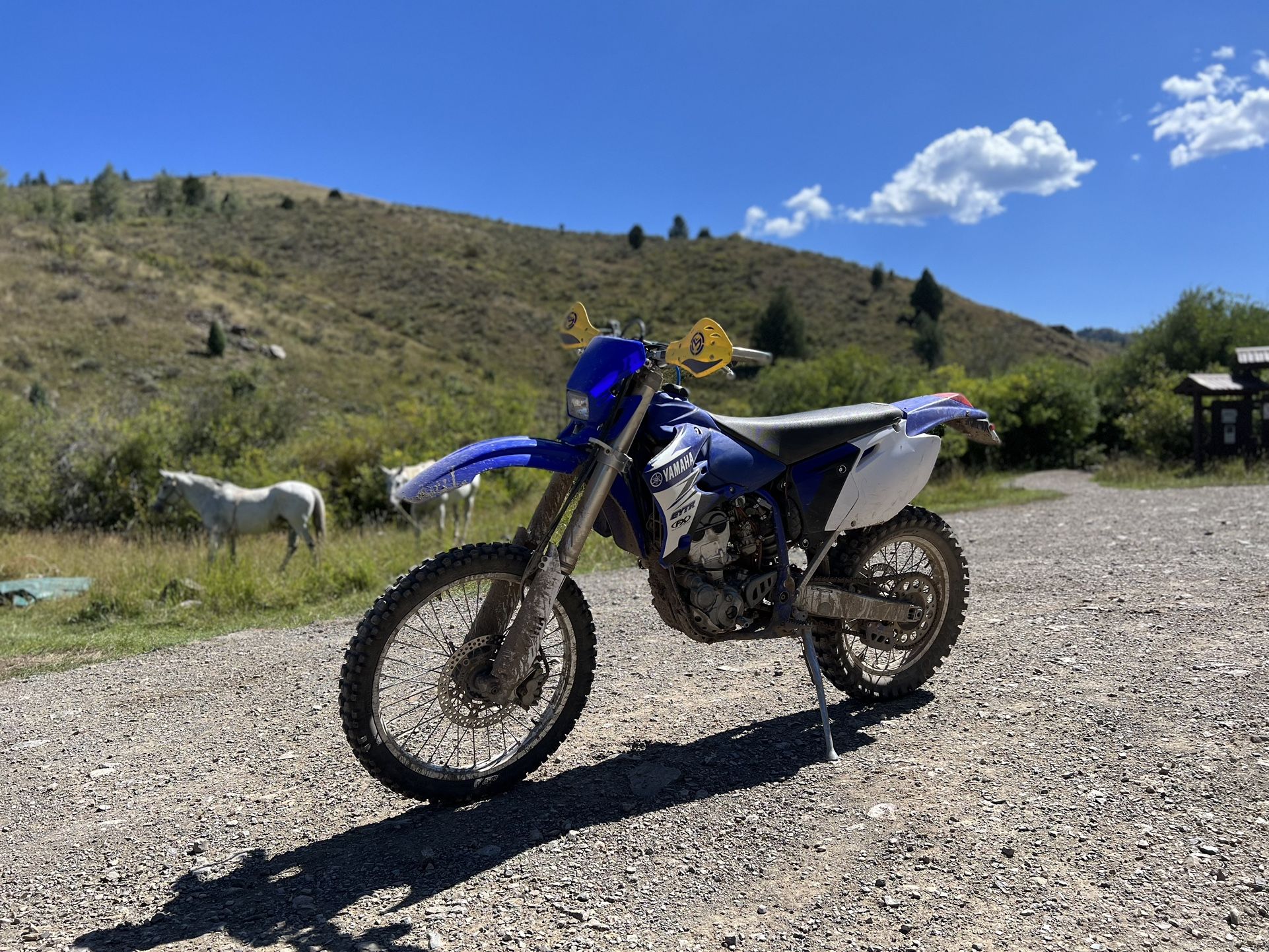 2005 Yamaha WR250F Enduro Trail Bike for Sale in Gilbert, AZ - OfferUp