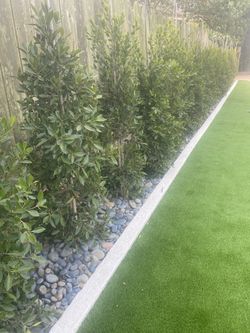 Spanish Pebbles for Sale in Irvine, CA - OfferUp