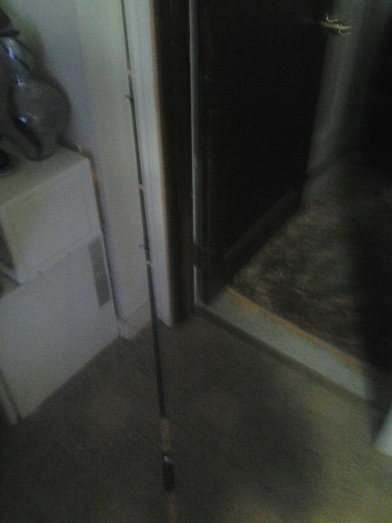 Castaway 7ft saltwater medium cast graphite rod for Sale in Tigard, OR ...