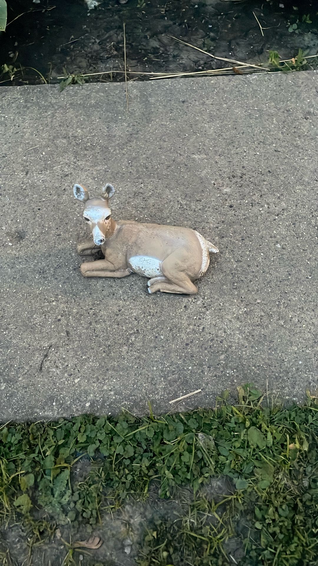 Old Dear Statue for Sale in Prairie View, IL - OfferUp
