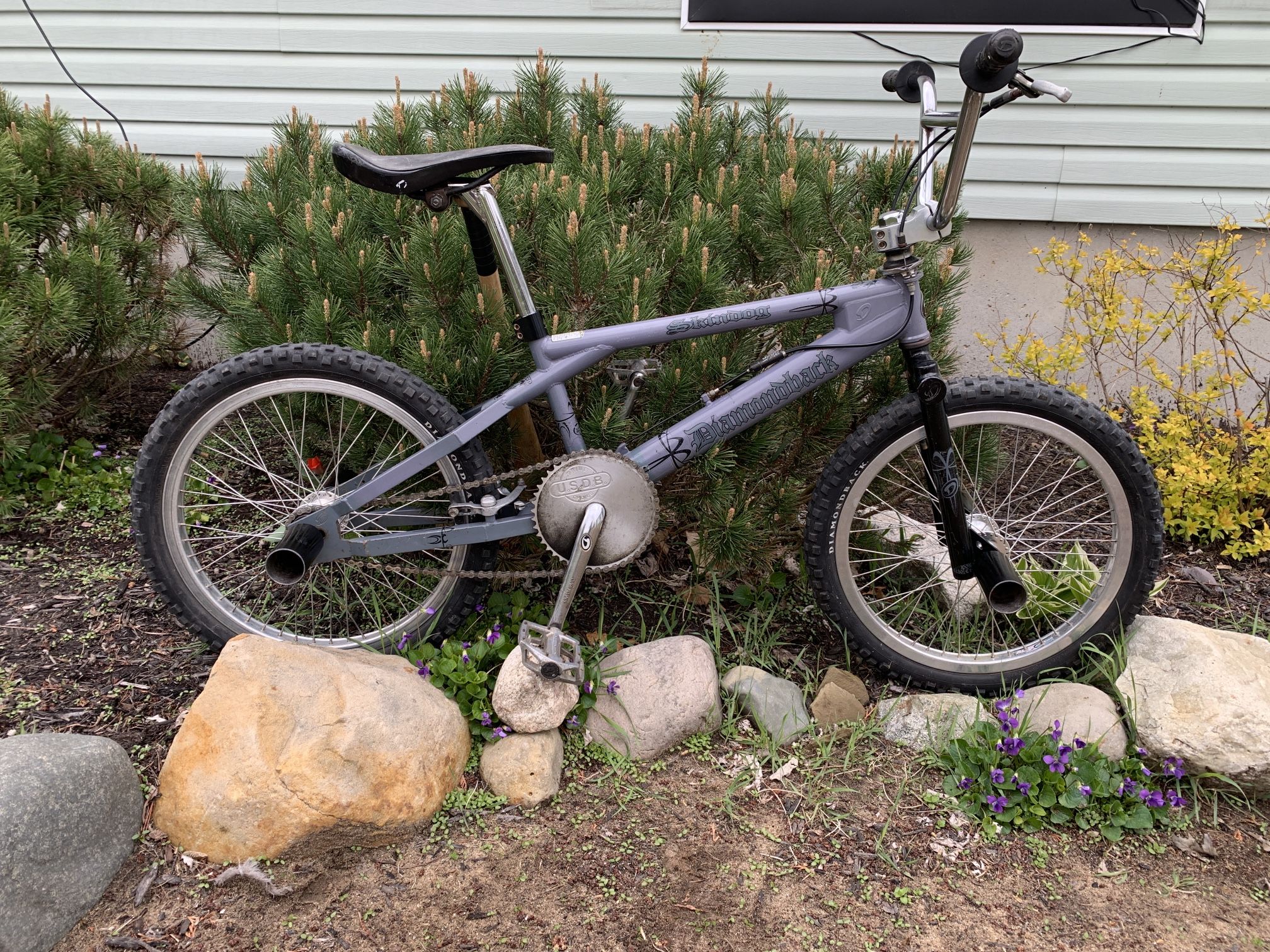 1998 Diamondback Skin Dog for Sale in Lapeer, MI - OfferUp