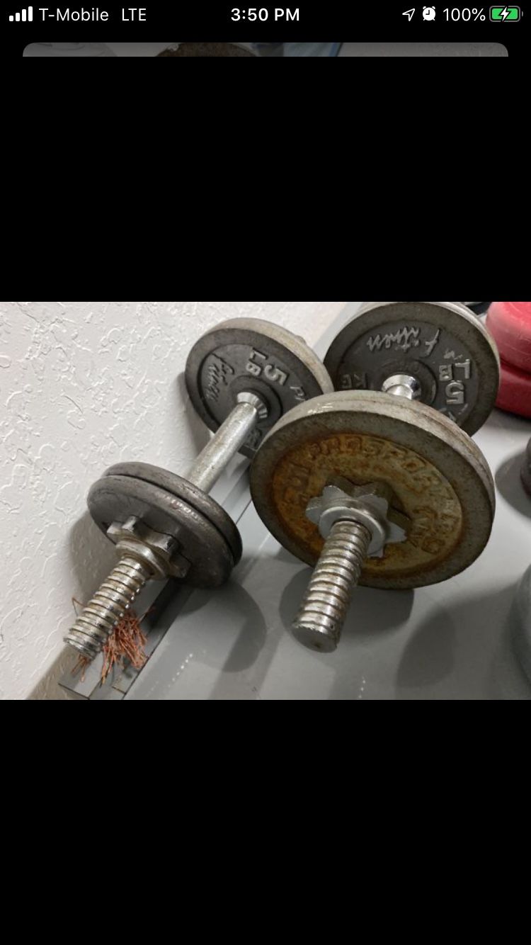 Adjustable Olympic dumbbells , you can build Up from 5-35 pounds, 180 ...