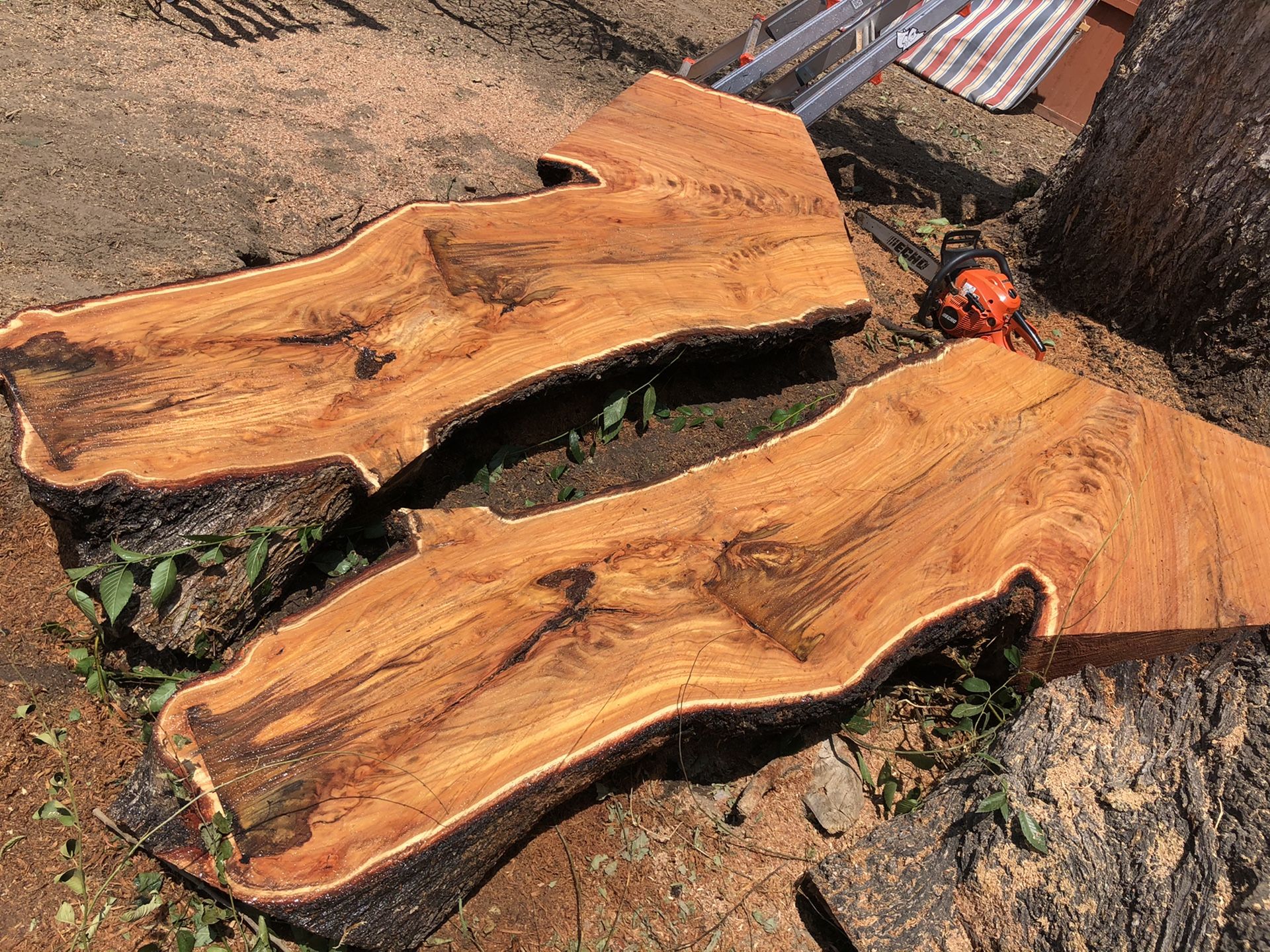 Various Rough cut wood slabs for woodworking, live edge, tables, coffee ...