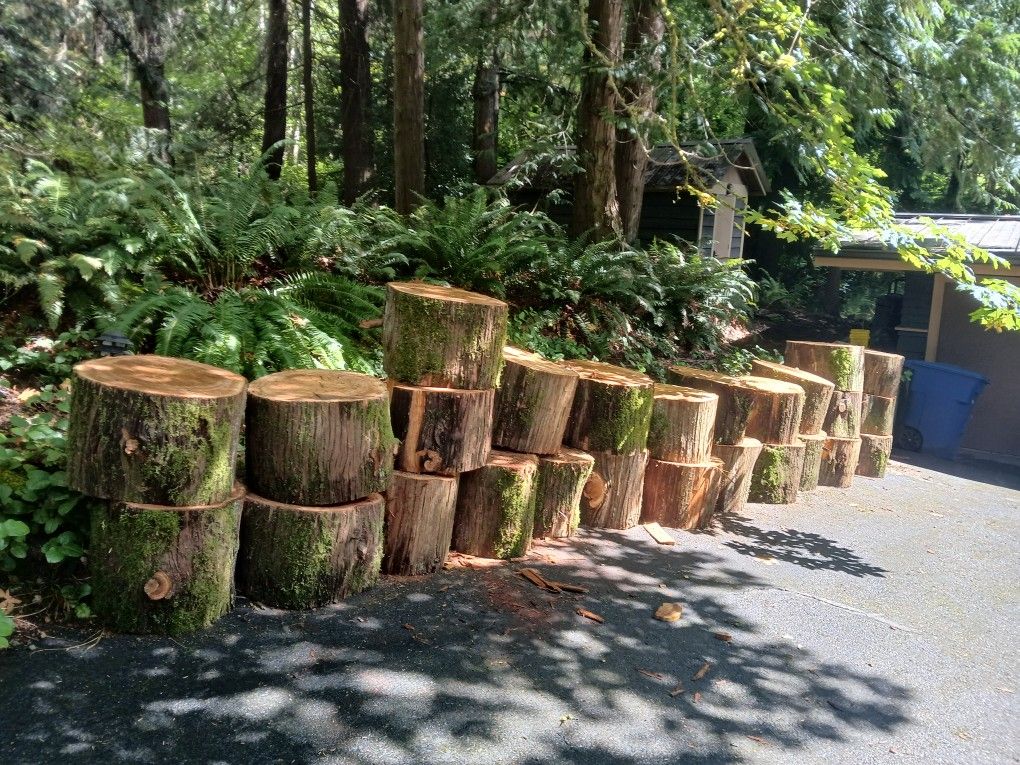 Free Cedar Log Rounds for Sale in Kirkland, WA - OfferUp