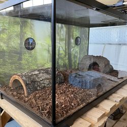 Ball Python Habitat Ideas