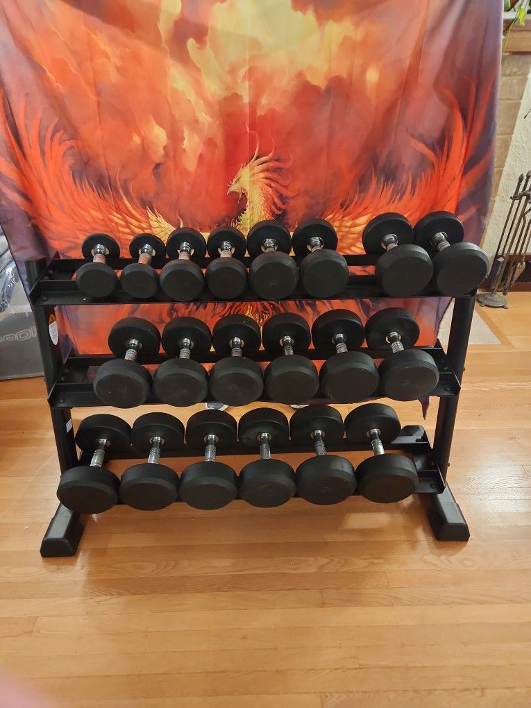 Inspire 5-50lb Round High-End Dumbbell Set (550lbs) with Heavy Duty 3 ...