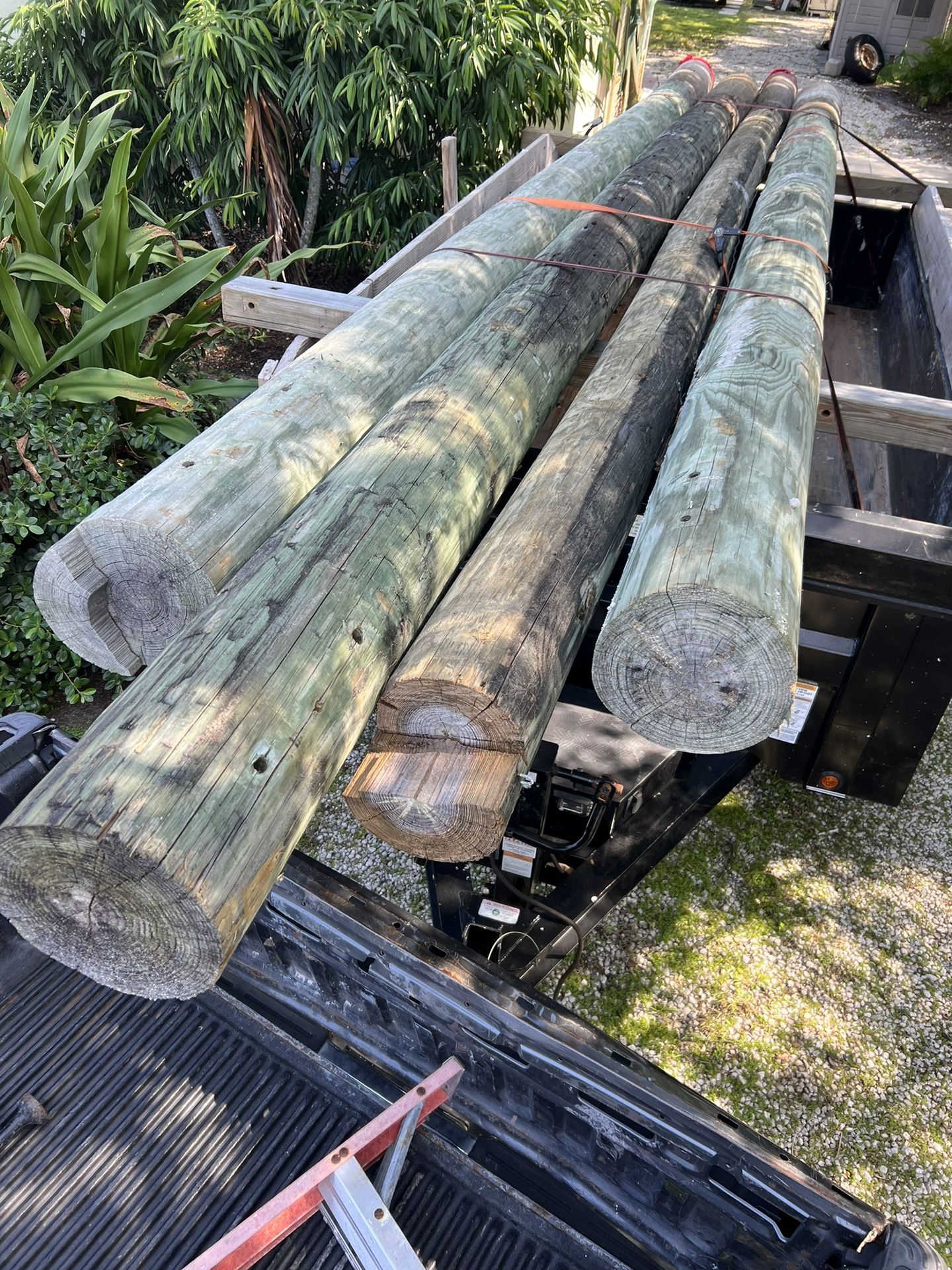 Marine grade pressure treated pilings/ telephone poles for Sale in Fort ...
