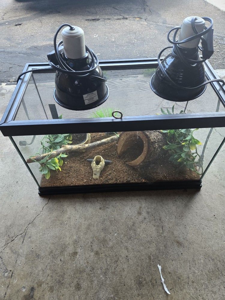Reptile Terrarium Setup – Complete Kit with Lights & Decor Price: $60 ...