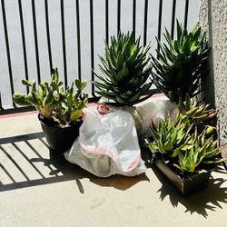 Pick Up Today As Soon As Possible for Sale in Corona, CA - OfferUp