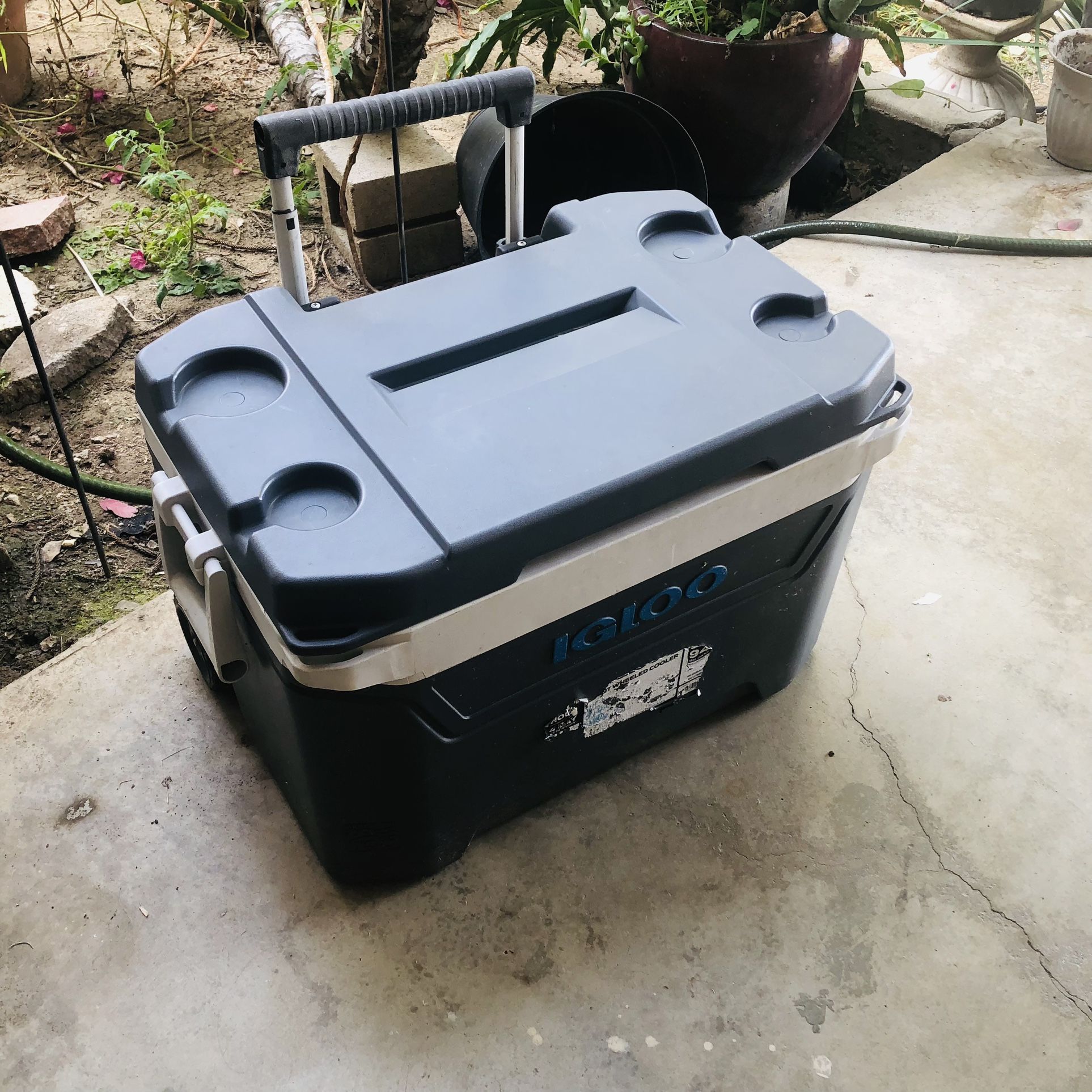 Igloo Cooler With Rollers & Lock Capable for Sale in Corona, CA - OfferUp