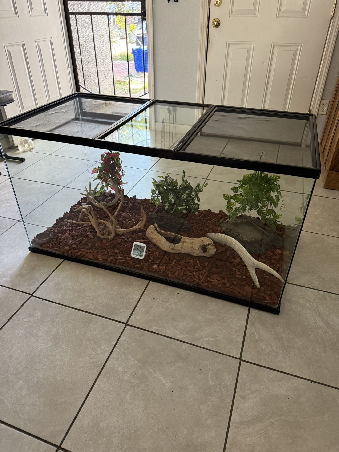 Reptile/Terrarium/Aquarium HUGE 120 Gallons (4x2x2) With Set Up (No ...