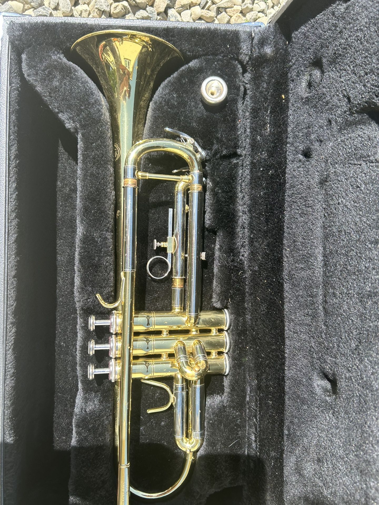 Jupiter Trumpet for Sale in Rio Linda, CA - OfferUp