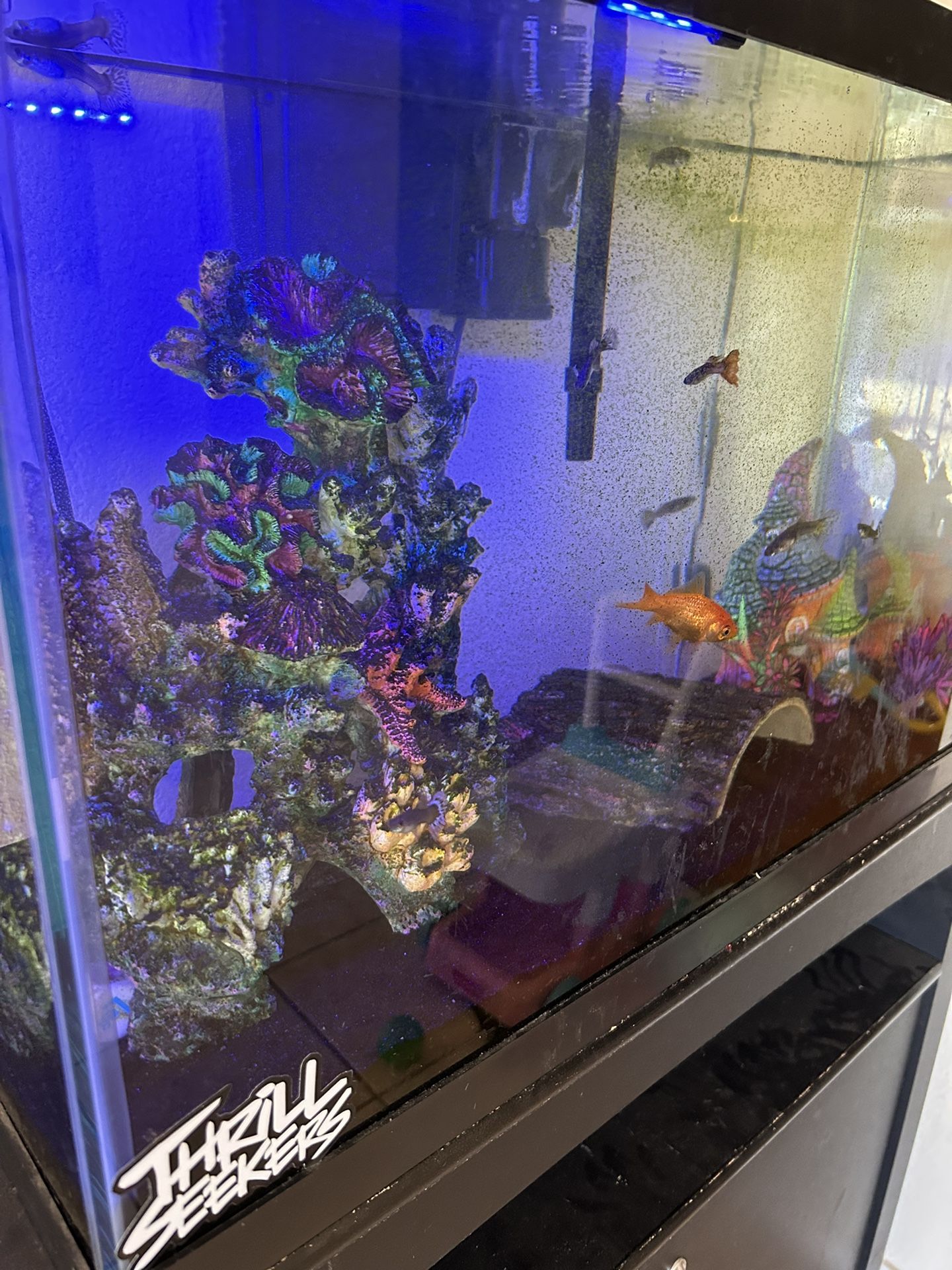 20 Gallon High Fish Tank & Stand for Sale in Peoria, AZ - OfferUp