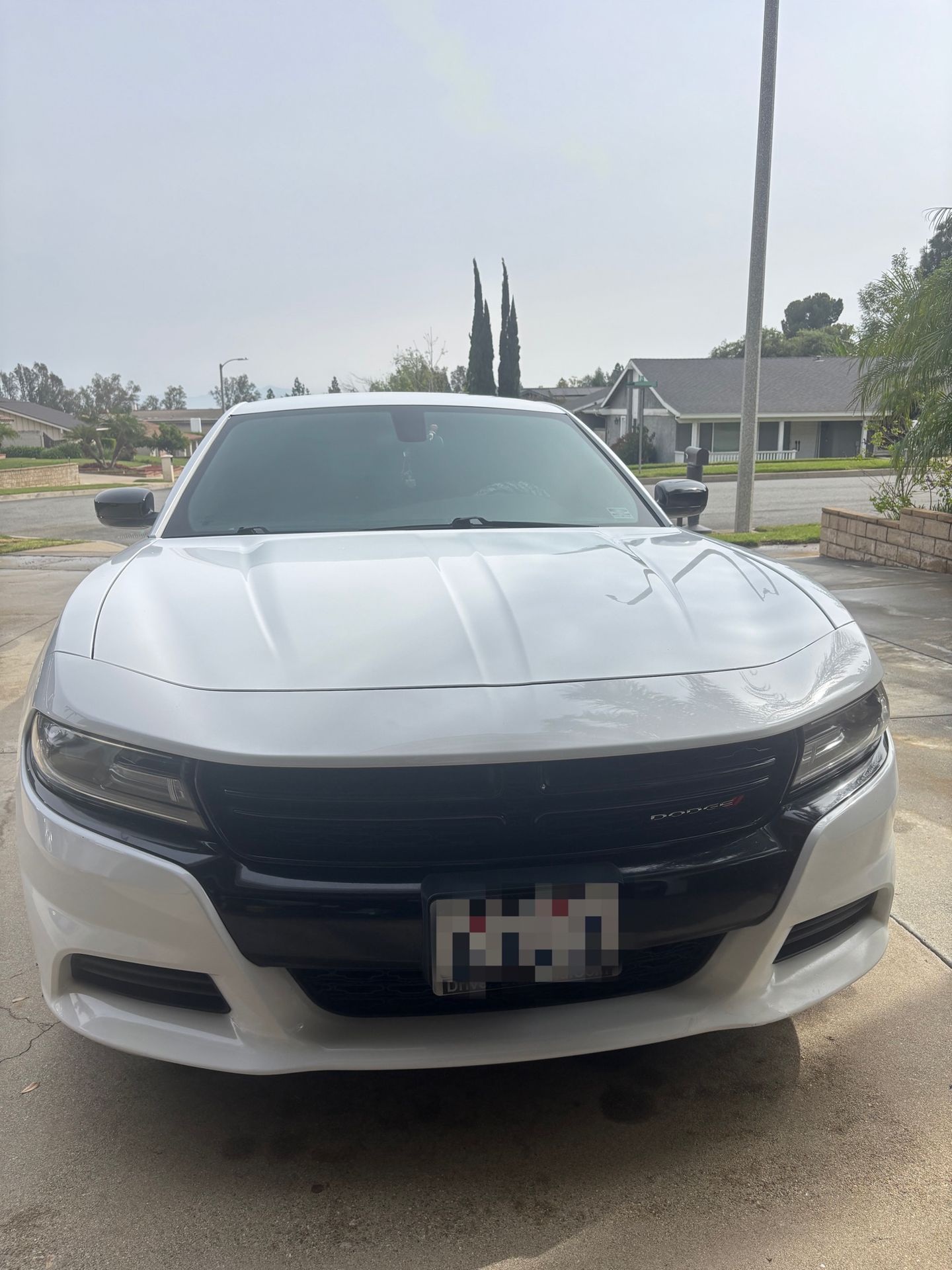 2020 Dodge Charger for Sale in Alta Loma, CA - OfferUp