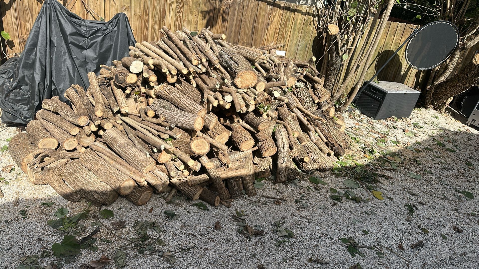 Free Wood - For Pick Up for Sale in Biscayne Park, FL - OfferUp