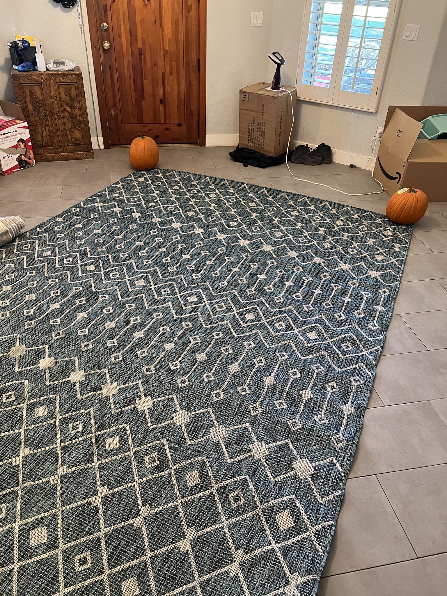 Almost New, Large Area Rug - Perfect for Home Staging, $100 - Delivery ...