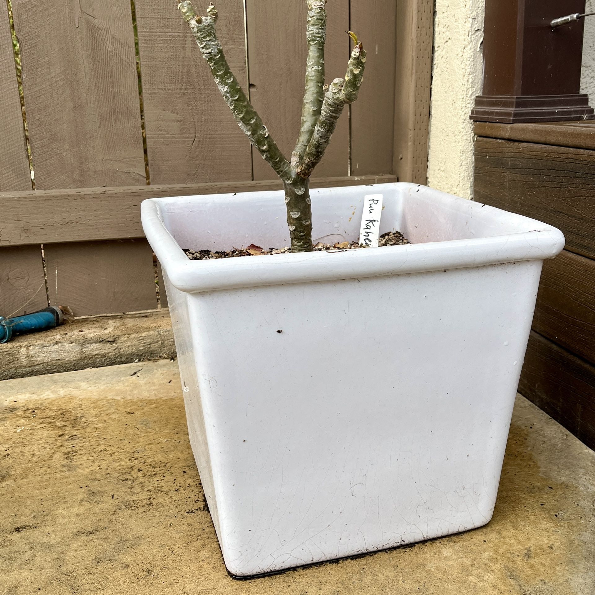 Various High Quality Planter Pots for Sale in Oceanside, CA - OfferUp