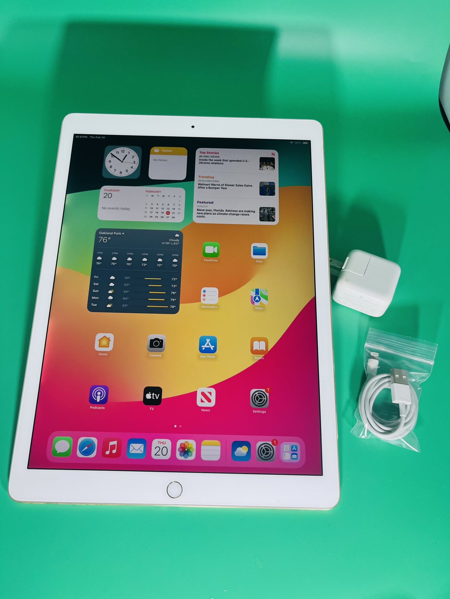 Apple iPad Pro 2nd Gen 12.9” 256GB Wi-Fi + Cellular-Gold Excellent for ...