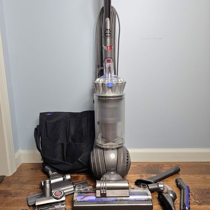 Dyson ball animal pro+ store