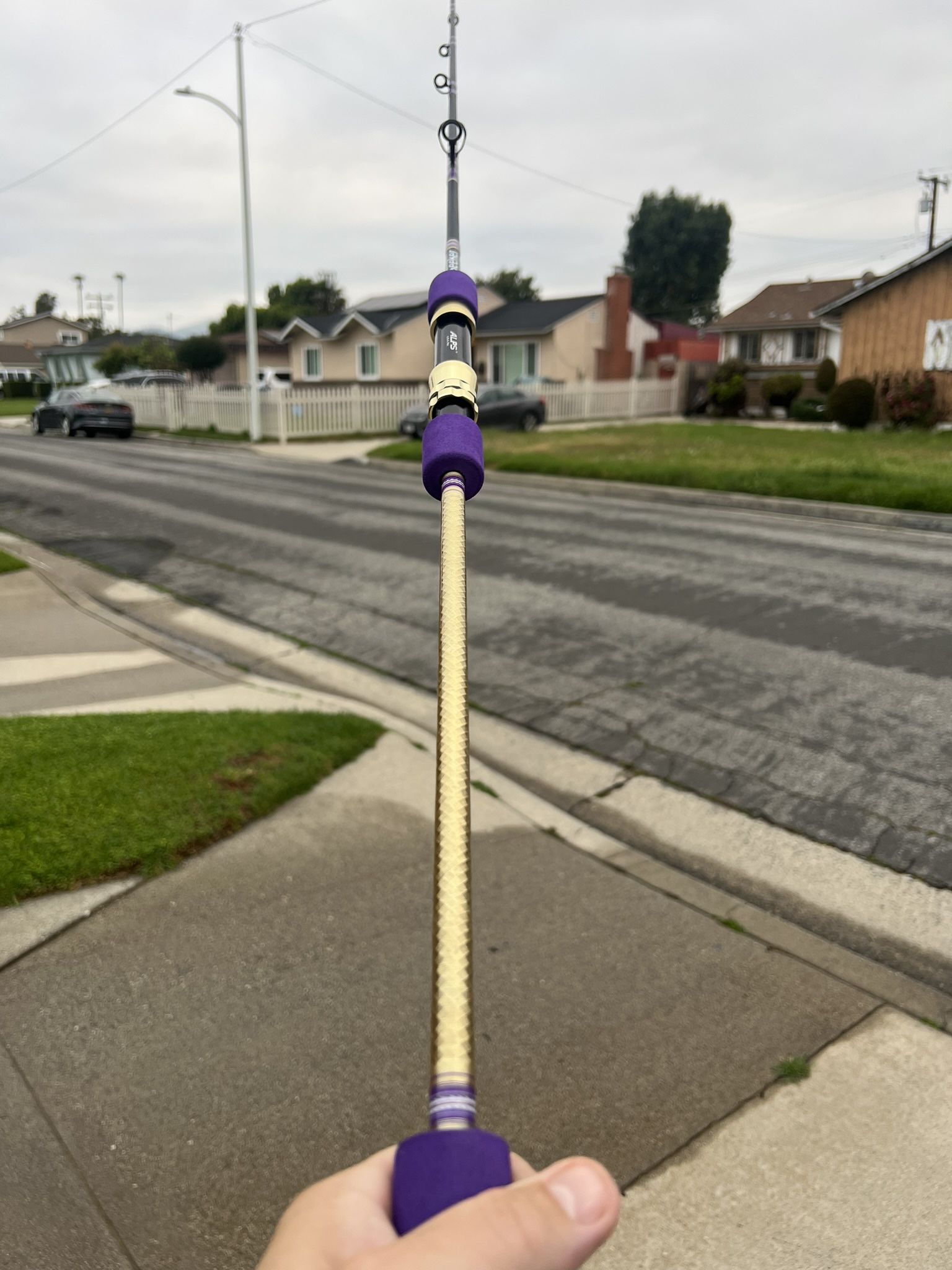 Seeker Slow Pitch Jigging Rod for Sale in West Covina, CA - OfferUp