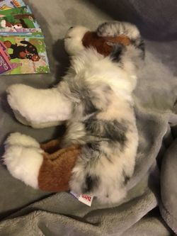 Webkinz Signature Bernese Mountain Dog