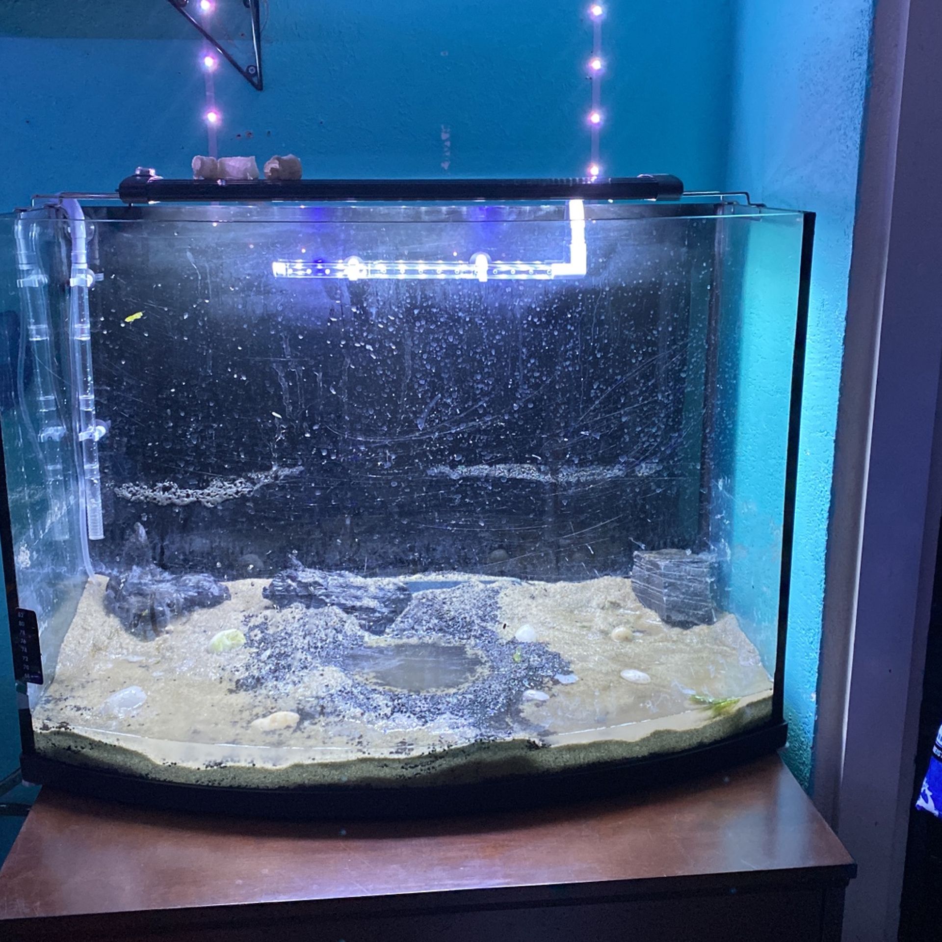 Empty Giant Fish Tank