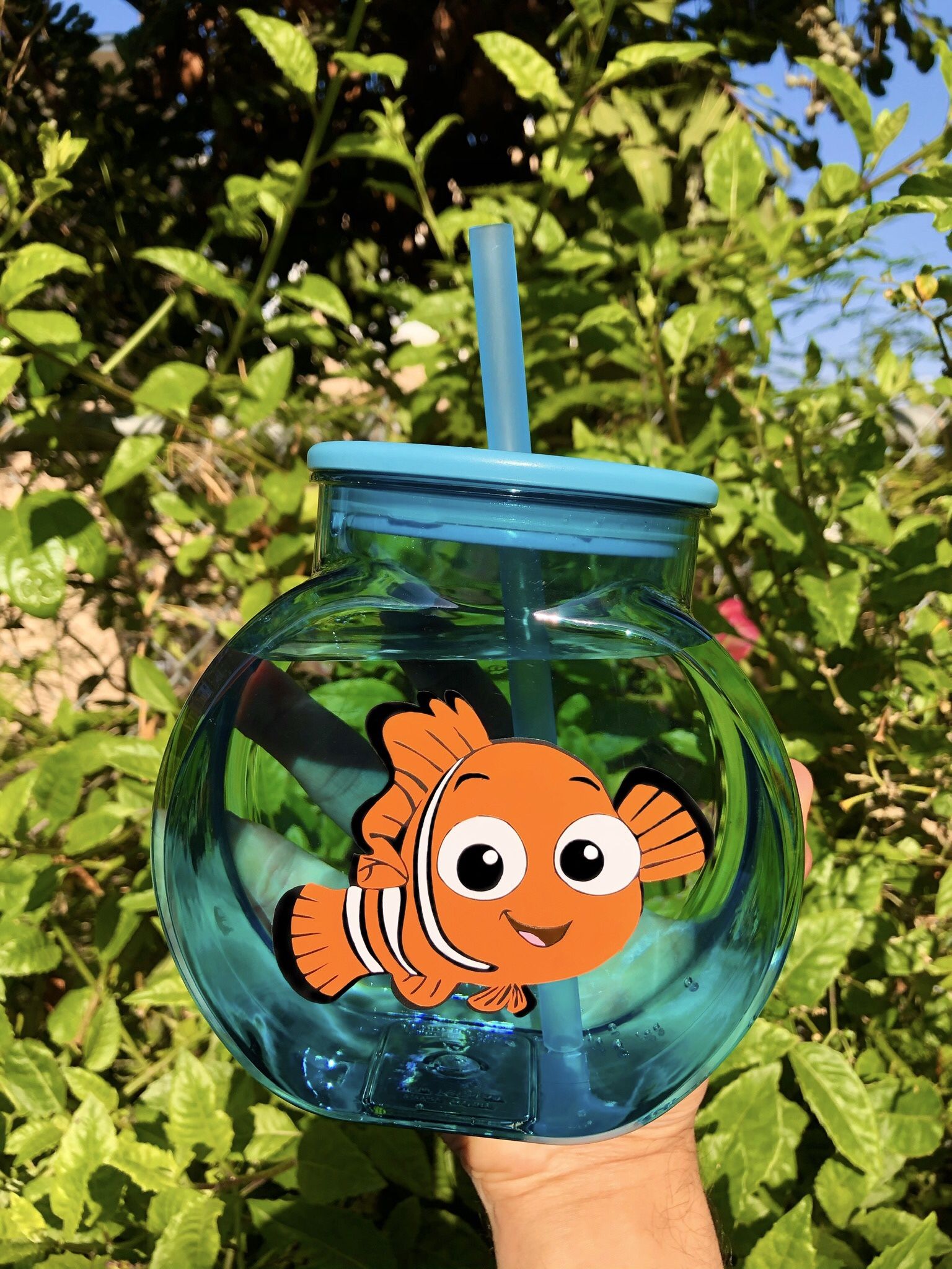 Nemo Cup