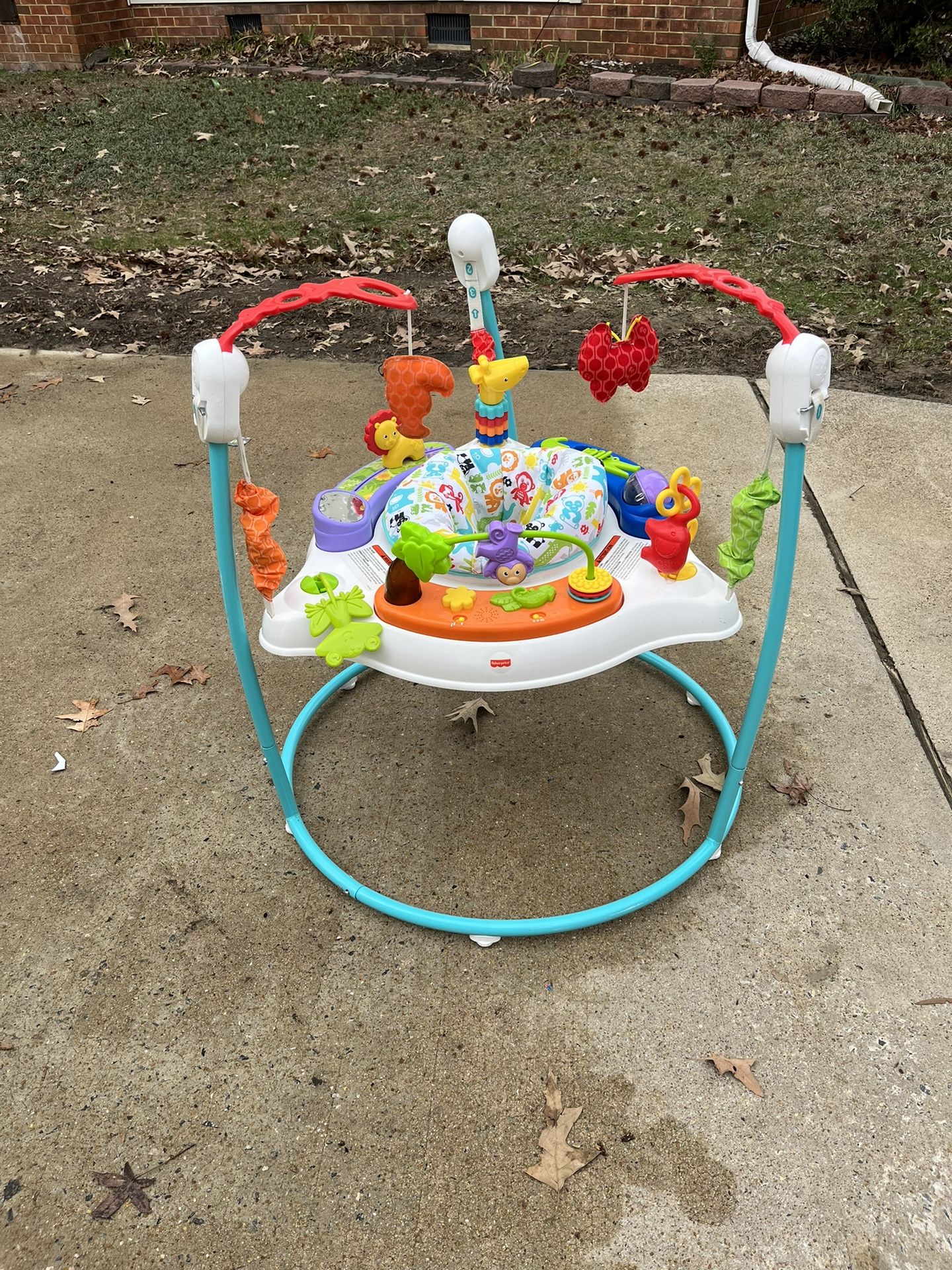 Fisher-Price Colorful Light Up Comfy Animal Activity Baby Jumperoo ...
