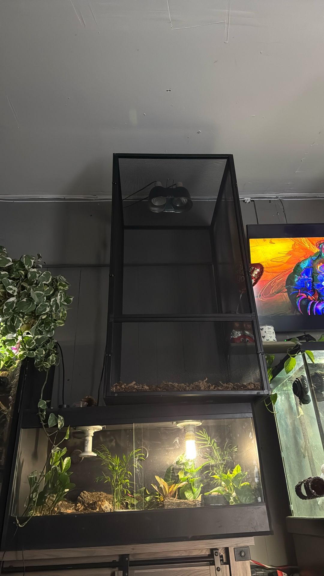 Chameleon Tank for Sale in Bellflower, CA - OfferUp