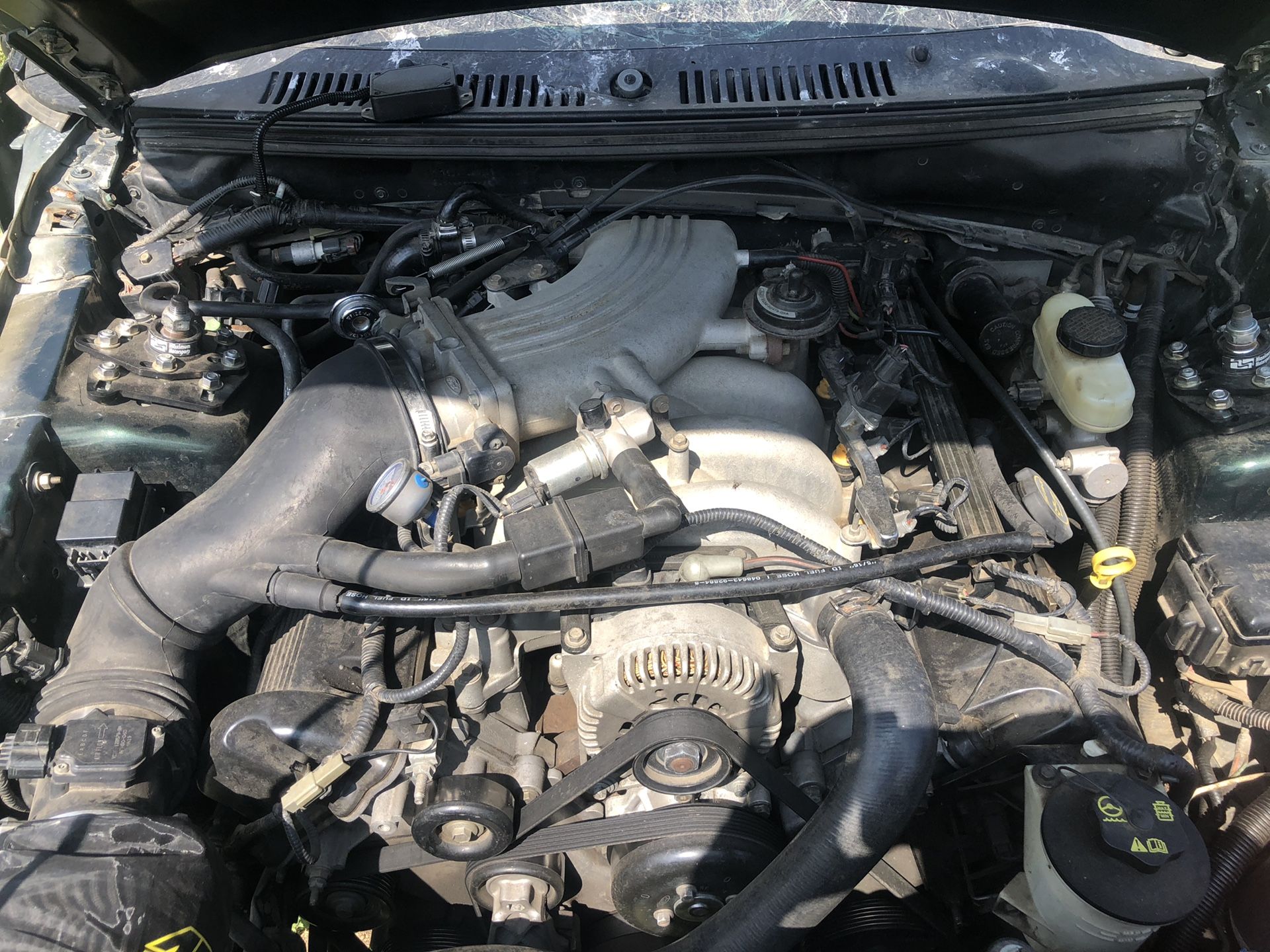 2001 mustang bullitt engine for Sale in San Fernando, CA - OfferUp