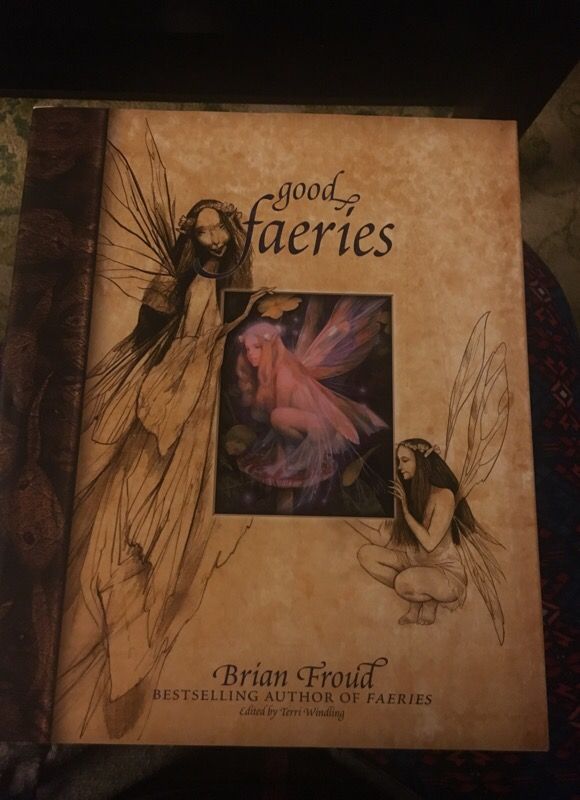 Good Faeries Bad Faeries