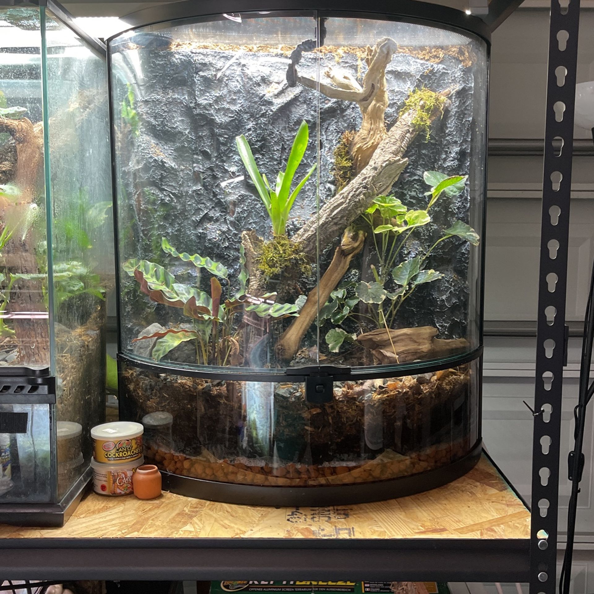 Thrive 20 Gallon Half Moon Enclosure Crested Gecko for Sale in Pembroke ...