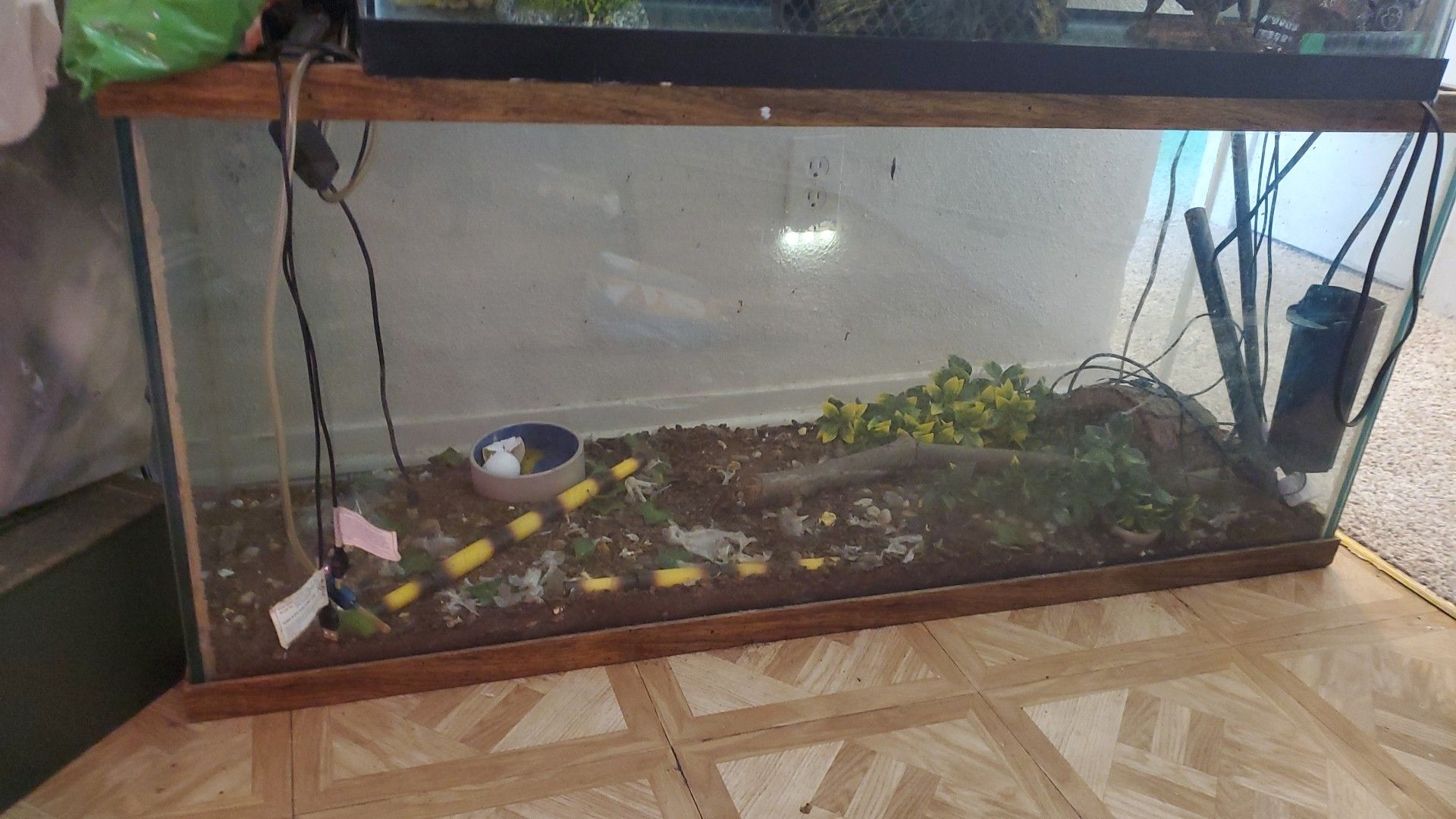 50 gallon fish tank used for a reptile for Sale in Mesquite, TX - OfferUp