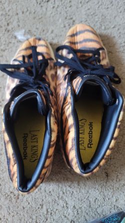 Tyga Shoes Cheetah