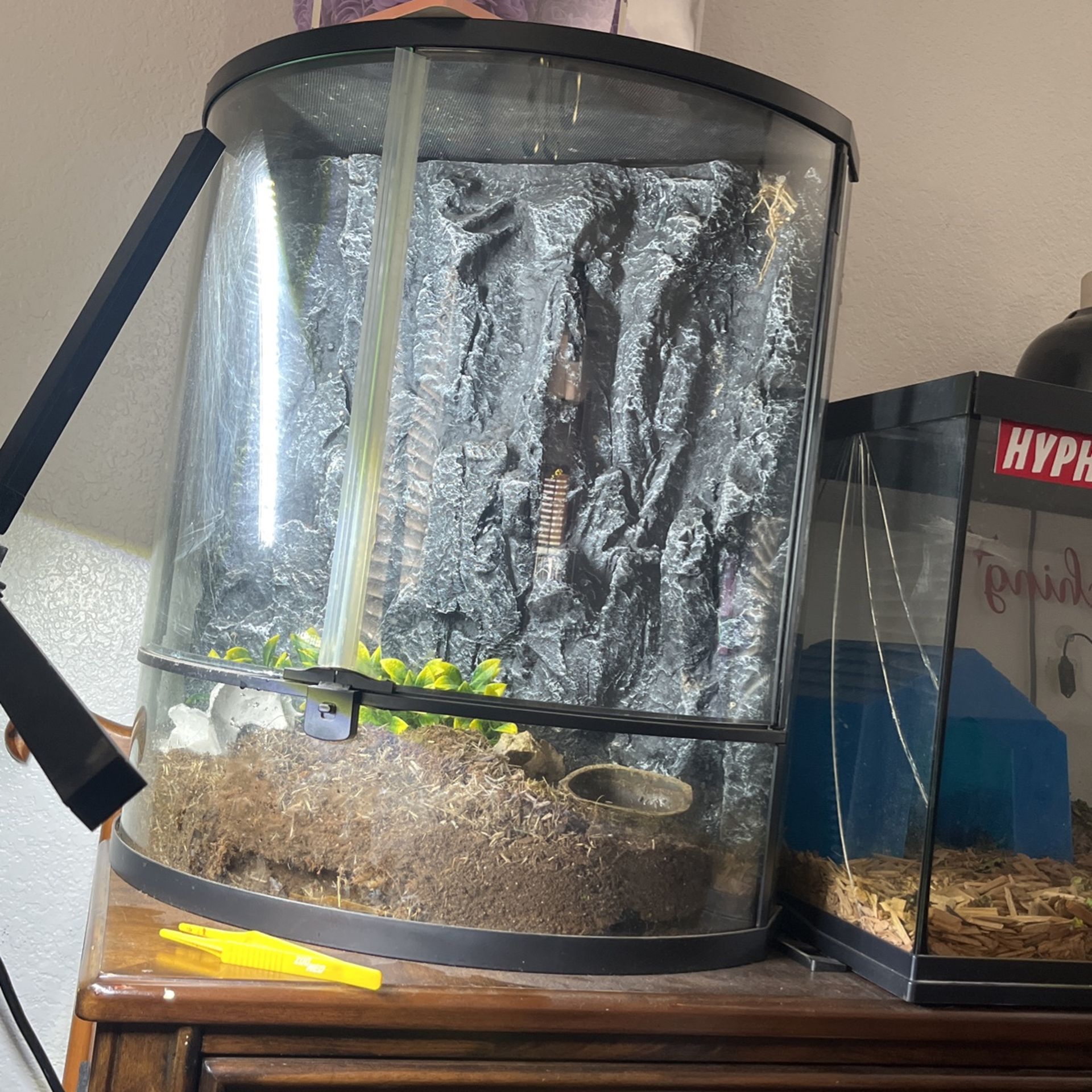 Pet Tarantula Tank