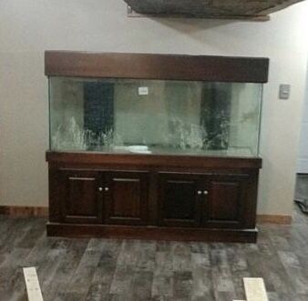 220 gallon fish tank for Sale in Hanover Park, IL - OfferUp