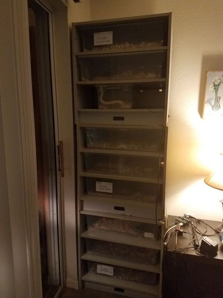 9 bin snake/reptile rack for Sale in Tampa, FL - OfferUp