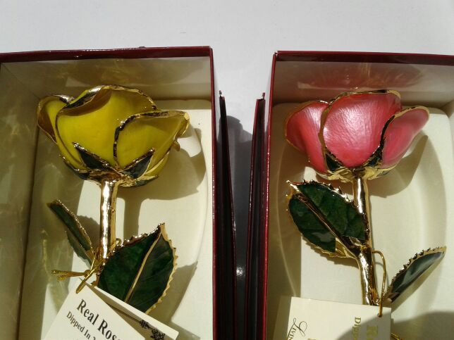 Real Roses Dipped