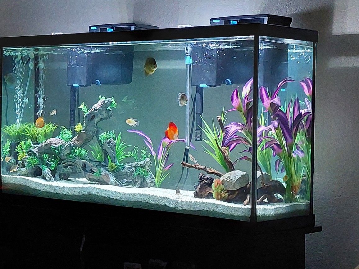 Aquarium W/Fish for Sale in El Cajon, CA - OfferUp